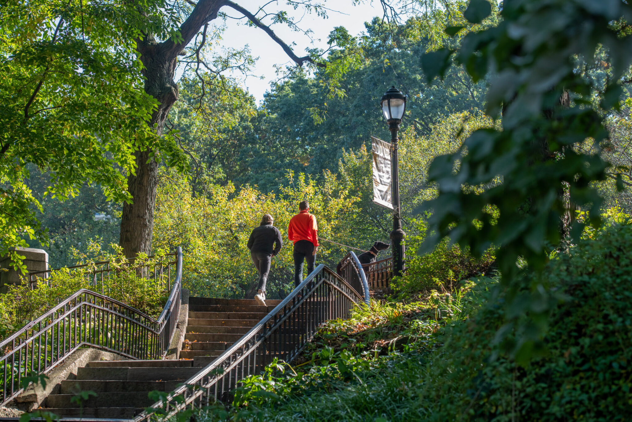 Uptown Walkers - Riverside Park Conservancy