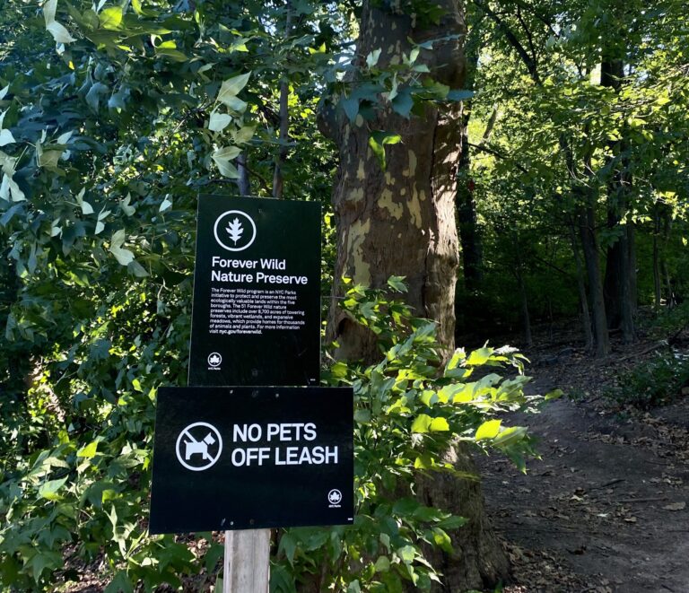 Forever Wild Nature Preserve and Bird Sanctuary - Riverside Park ...
