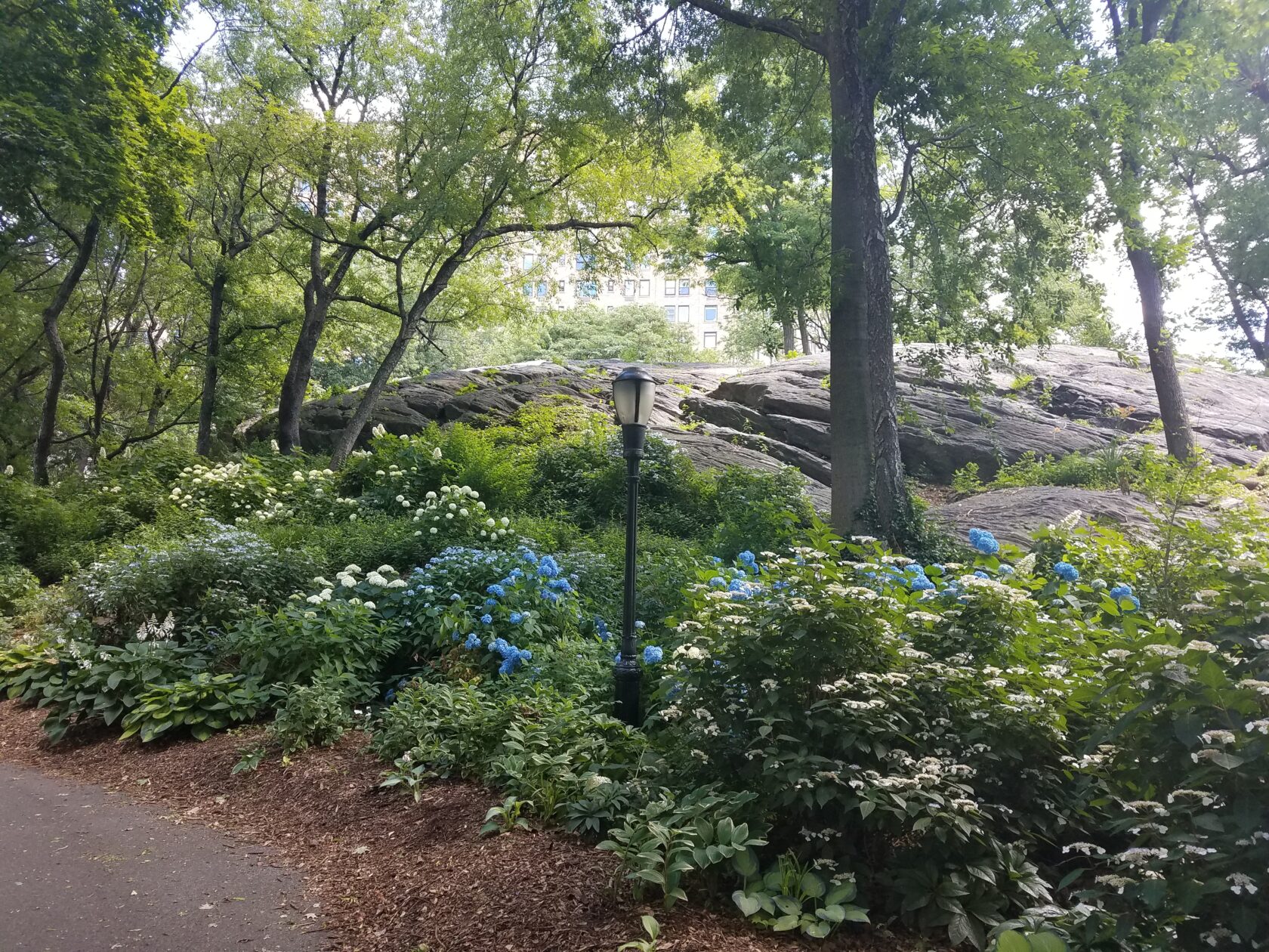 Mt. Tom - Riverside Park Conservancy