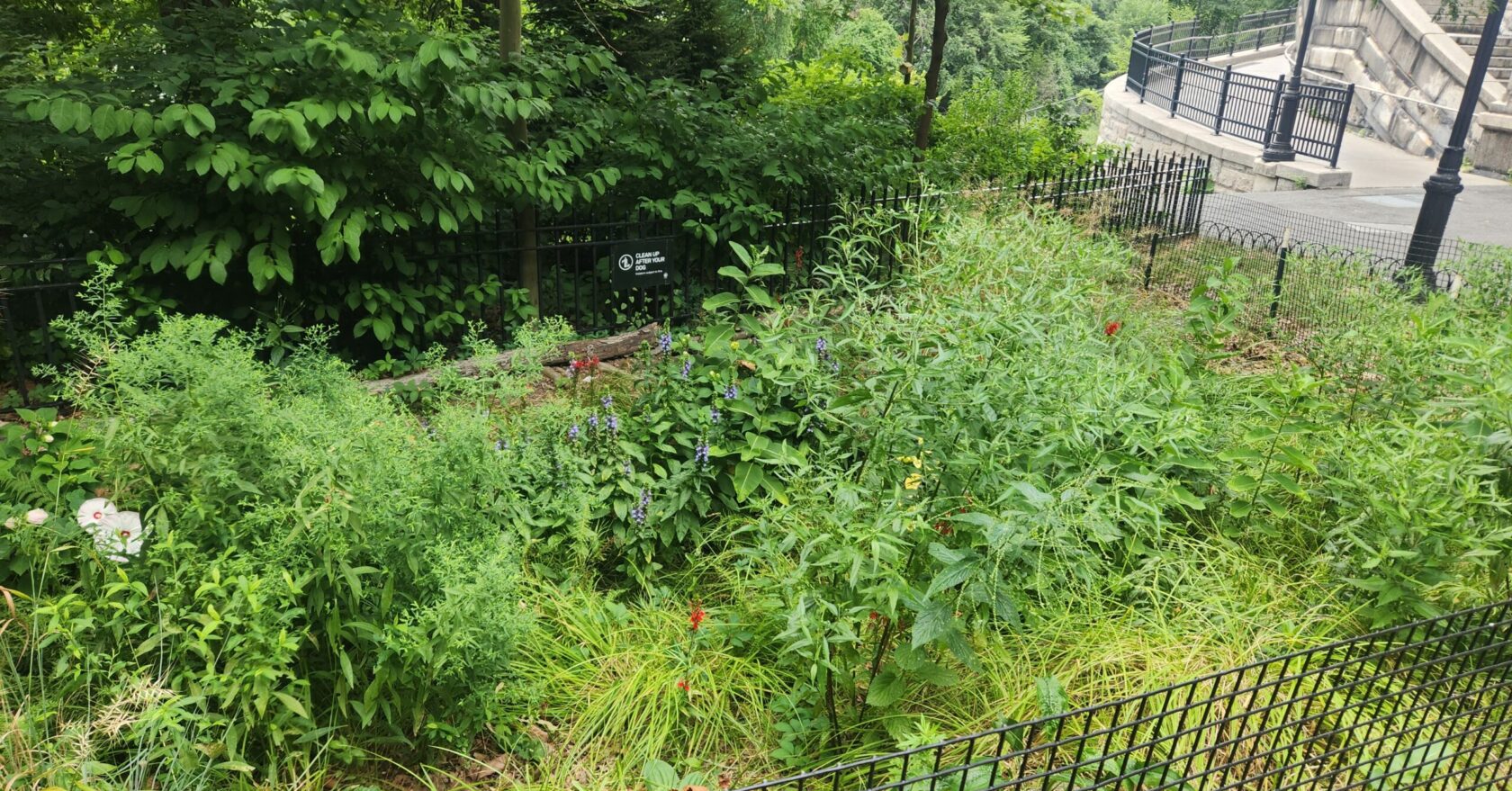 Map - Riverside Park Conservancy