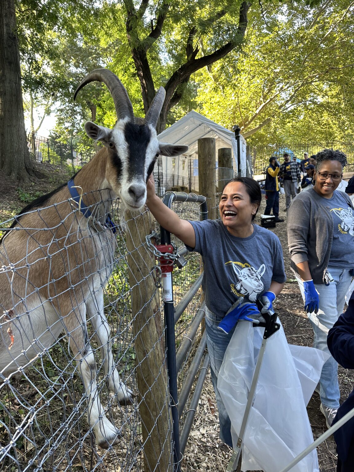 Goat Patrol at W 143rd St - Riverside Park Conservancy