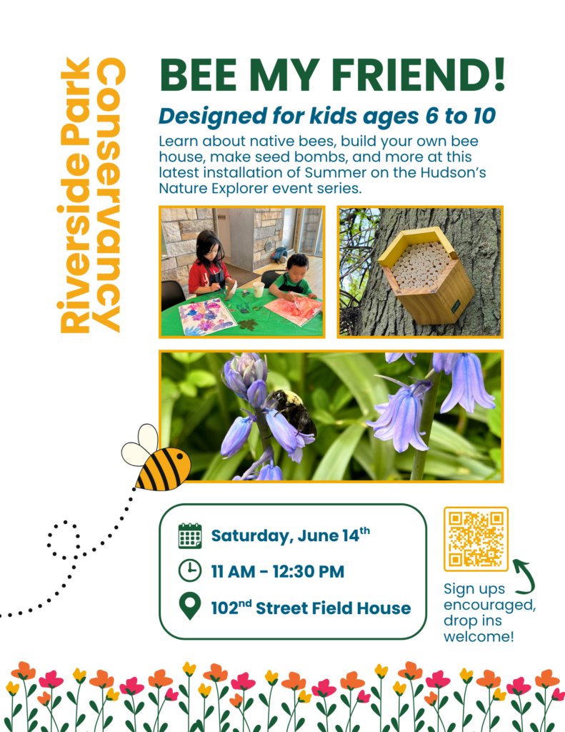 Nature Explorers - "Bee" My Friend! - Riverside Park Conservancy