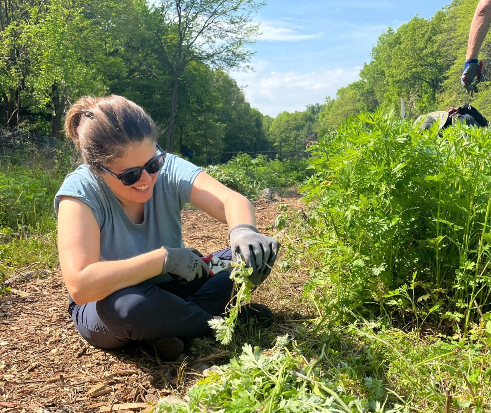 Your Guide to Volunteering in Riverside Park This Spring and Summer ...