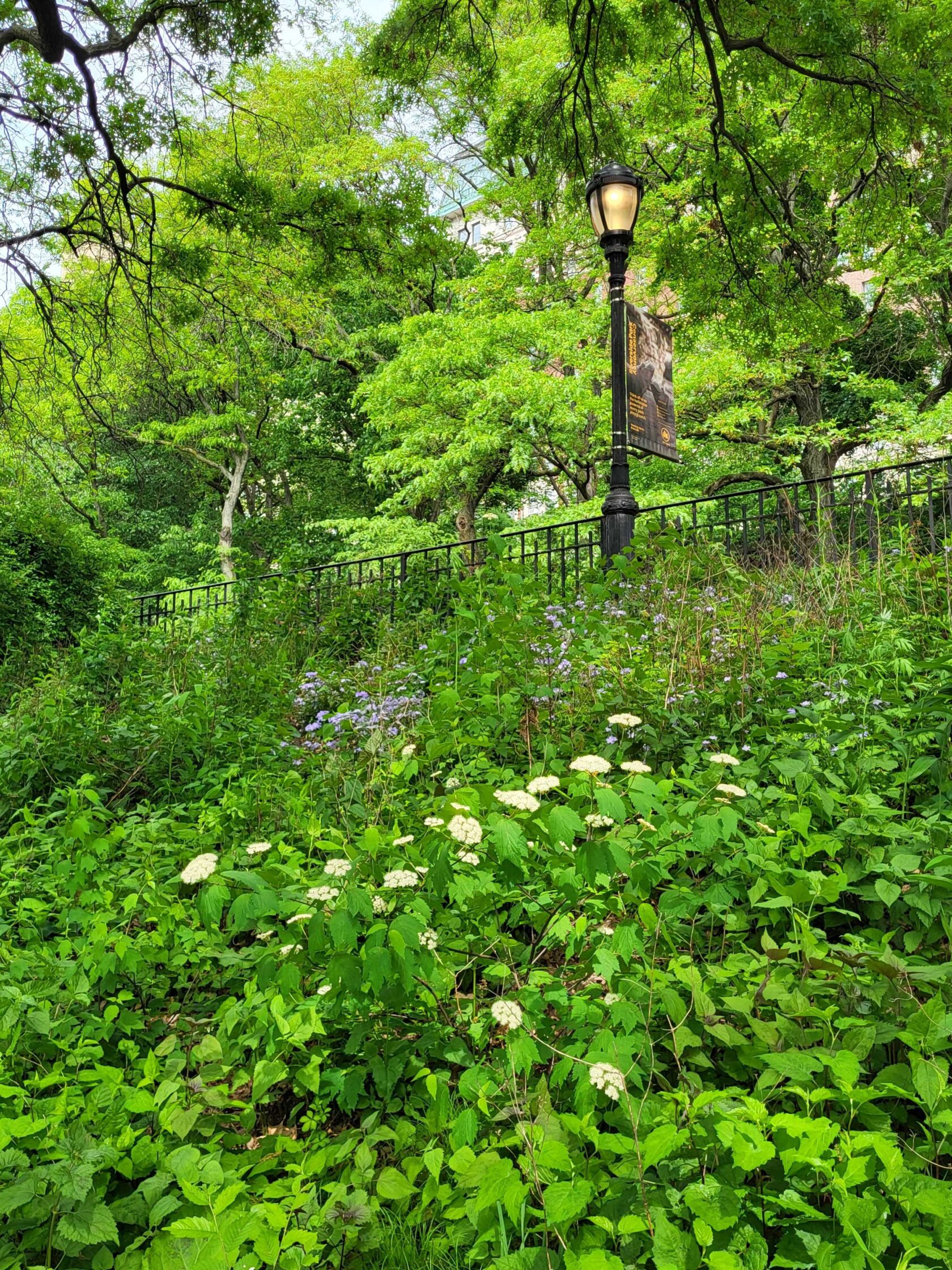 Map - Riverside Park Conservancy