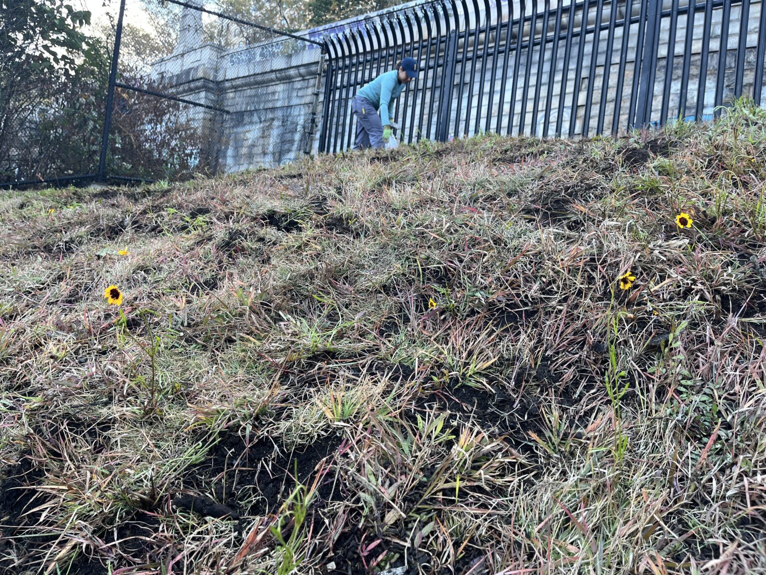 Ralph Ellison Memorial - Riverside Park Conservancy