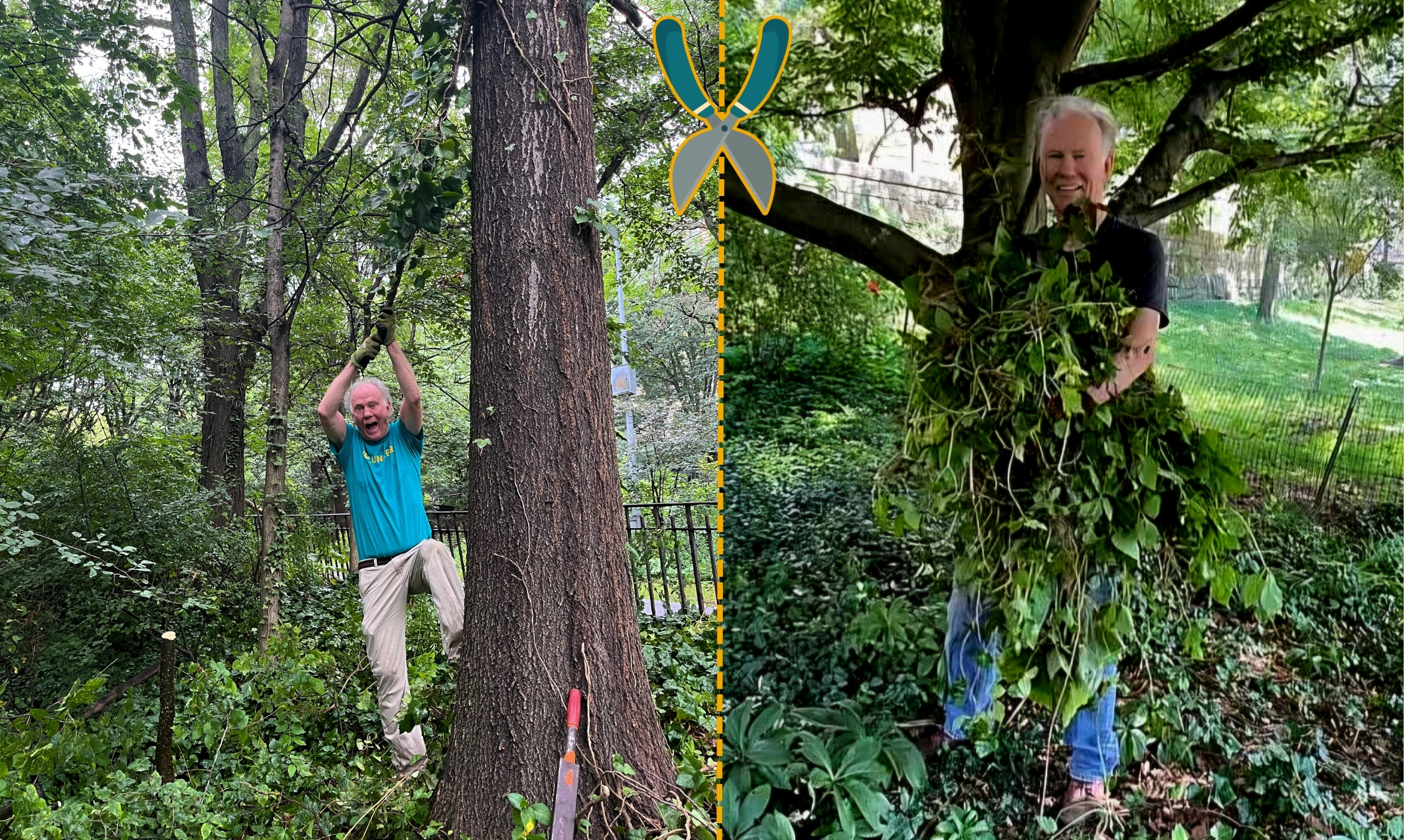 Jerry McCaffery: A Passionate Gardener - Riverside Park Conservancy